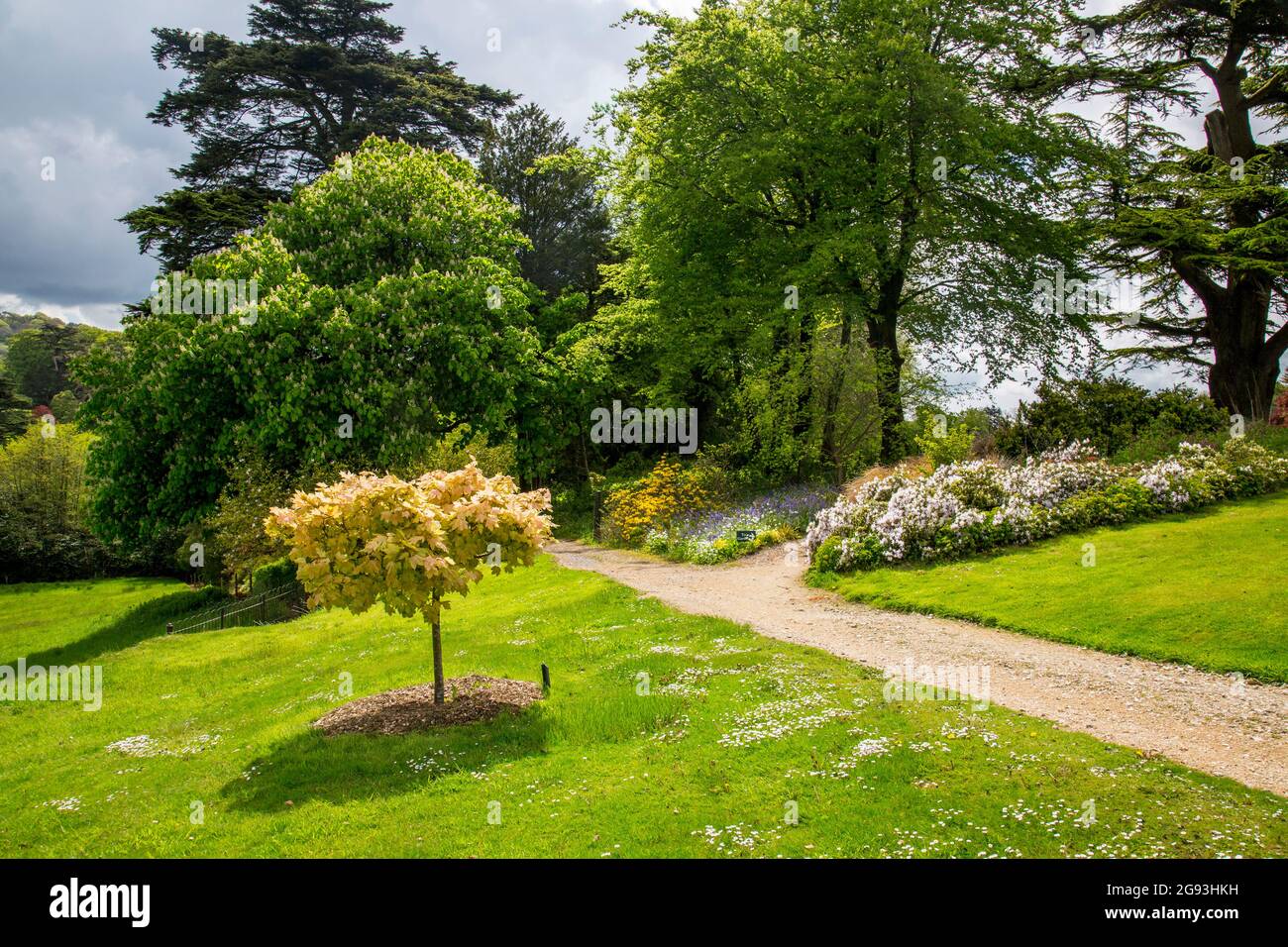 Minterne house in minterne magna hi-res stock photography and images ...