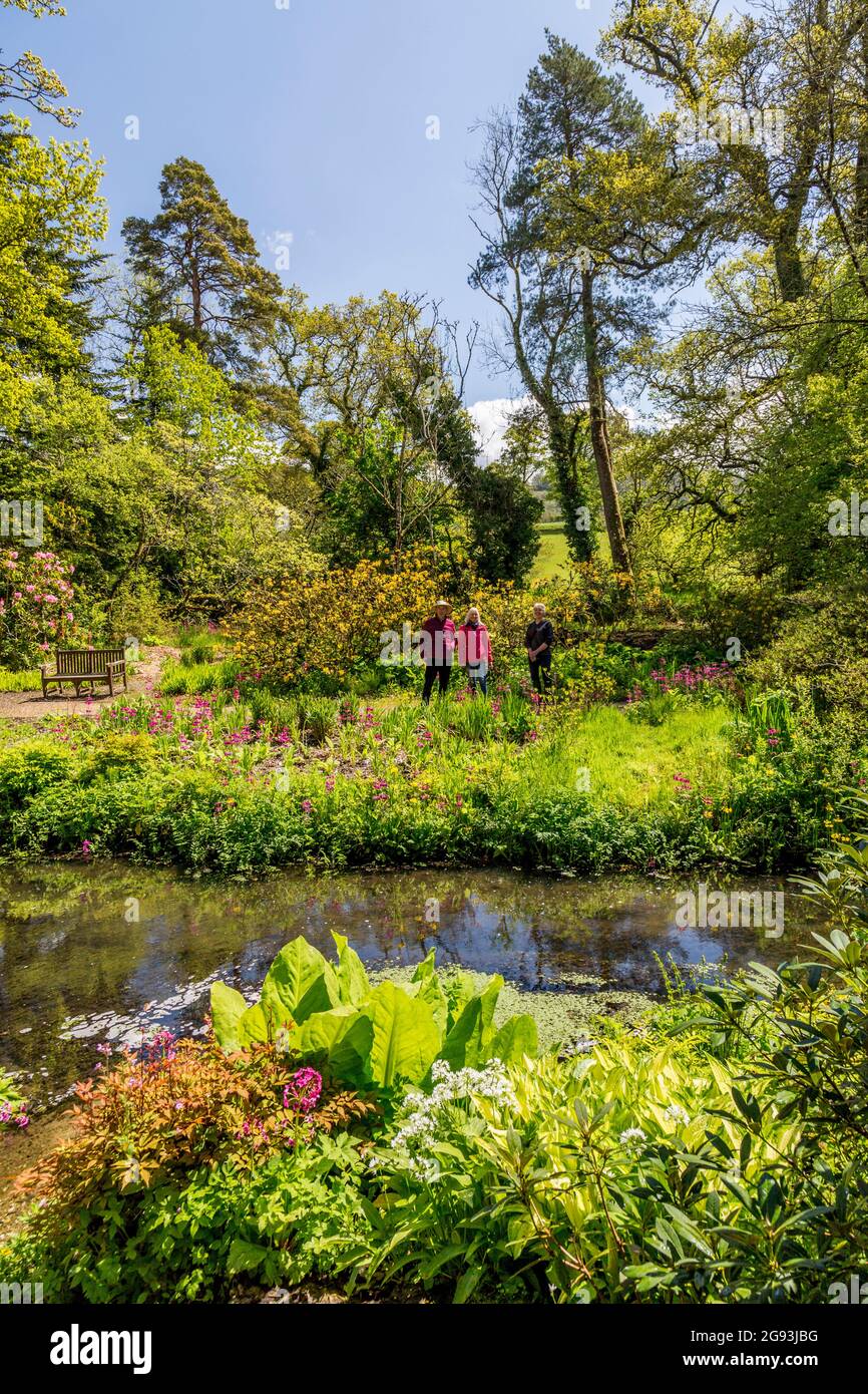Minterne house in minterne magna hi-res stock photography and images ...