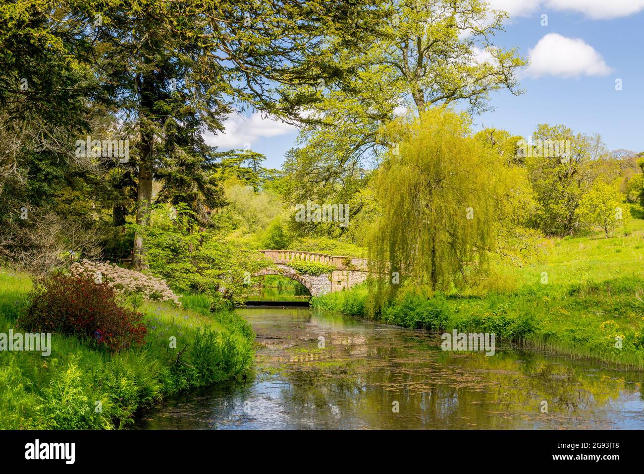 Lady Eleanor's Bridge over the River Cerne in Minterne House Gardens ...