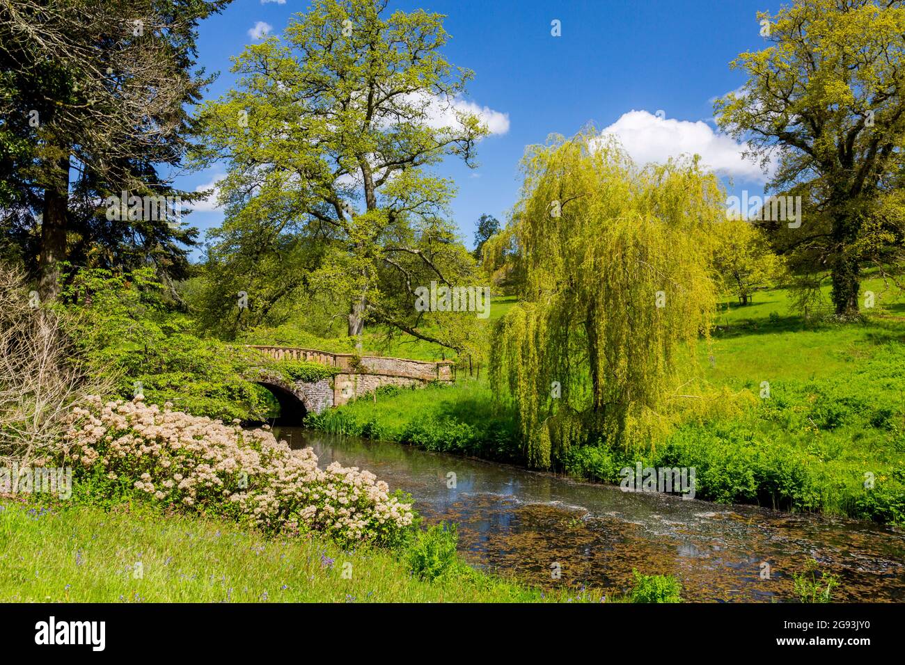Lady Eleanor's Bridge over the River Cerne in Minterne House Gardens ...