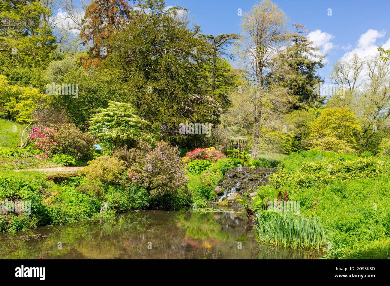 Minterne house in minterne magna hi-res stock photography and images ...