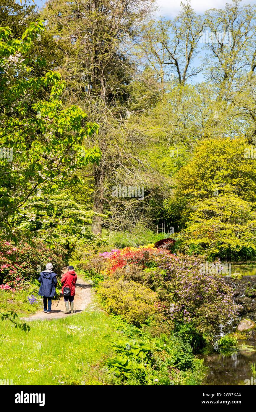 Minterne house in minterne magna hi-res stock photography and images ...