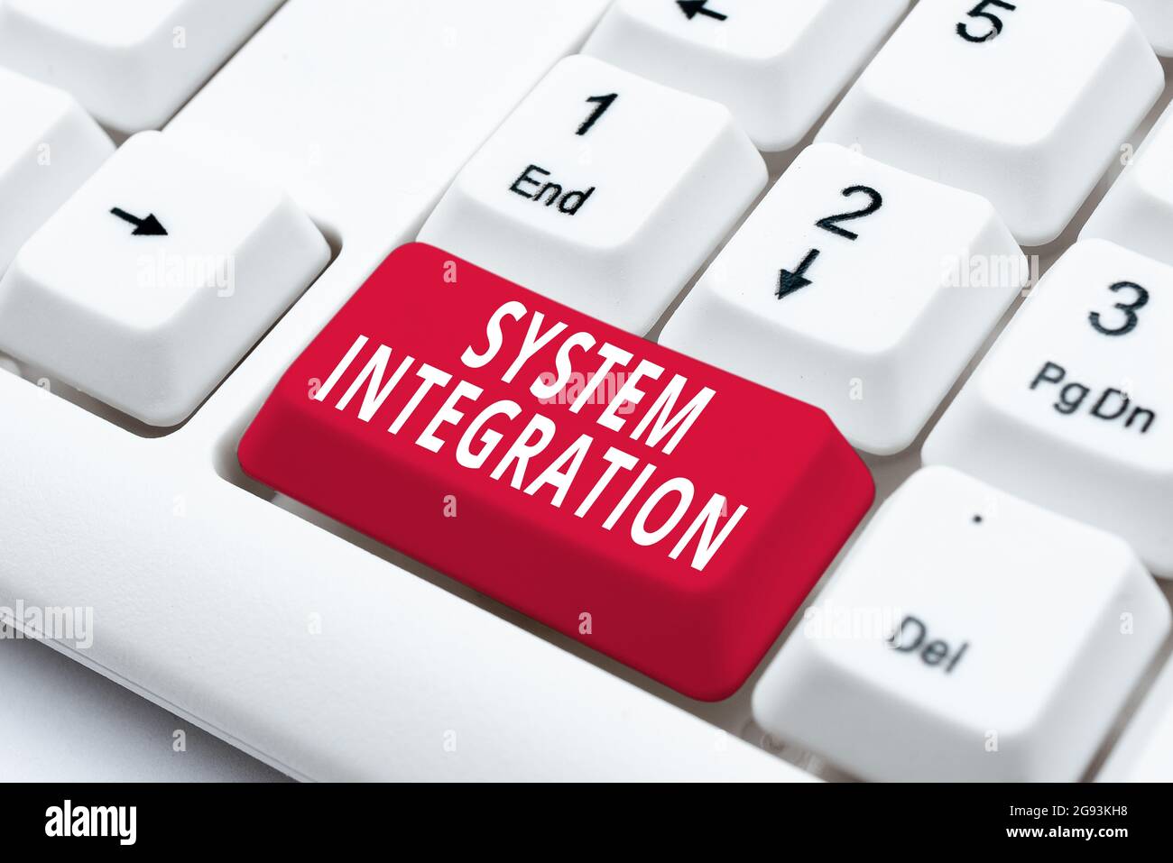 Conceptual display System Integration. Business overview process of ...