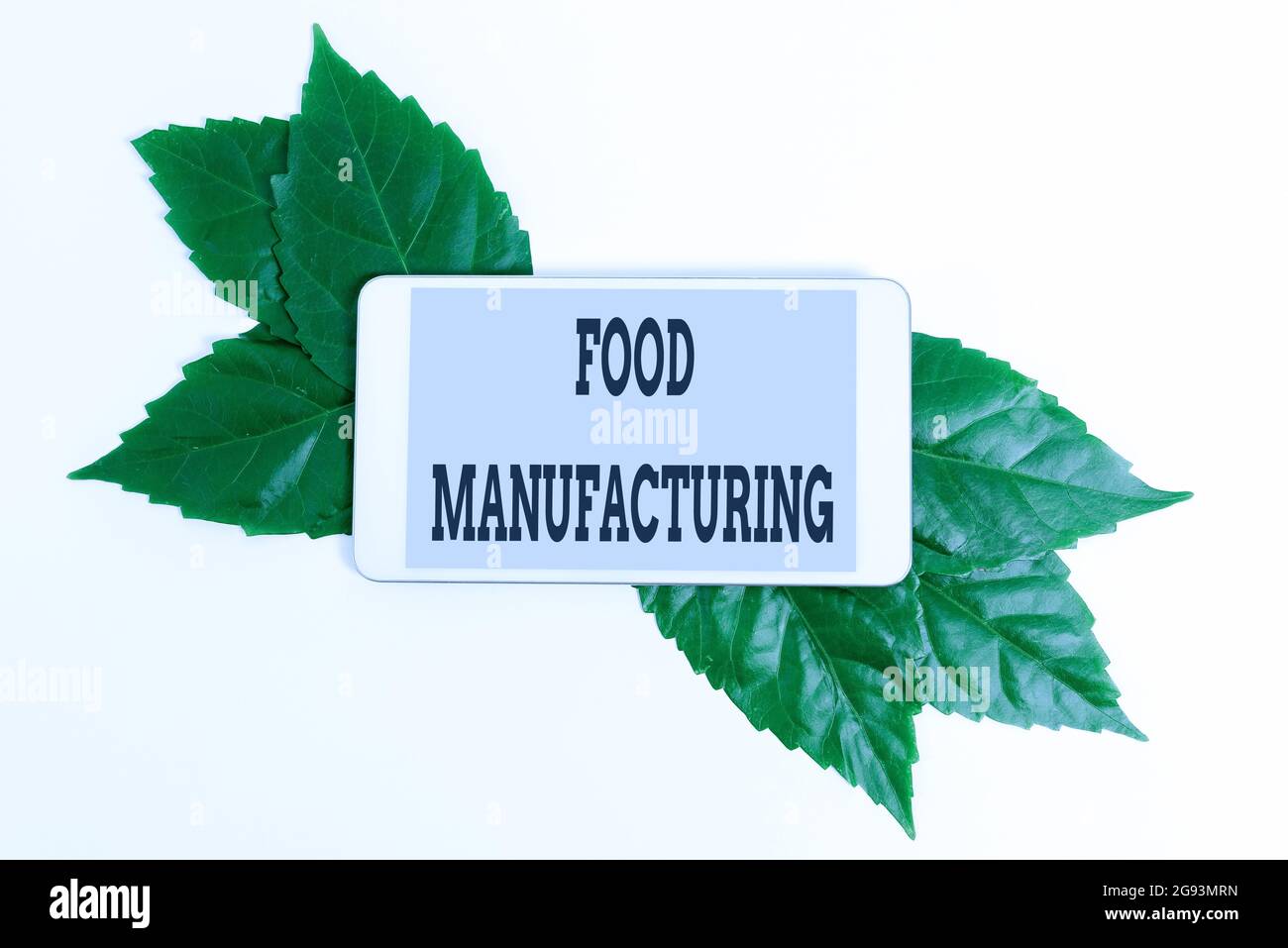 Text sign showing Food Manufacturing. Business concept transformation ...