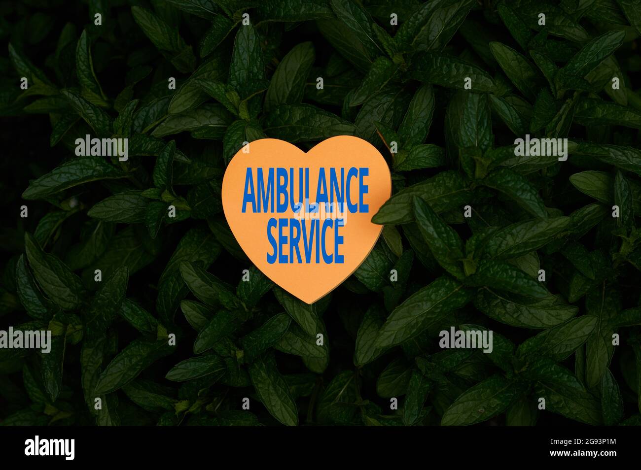 Writing displaying text Ambulance Service. Concept meaning emergency ...