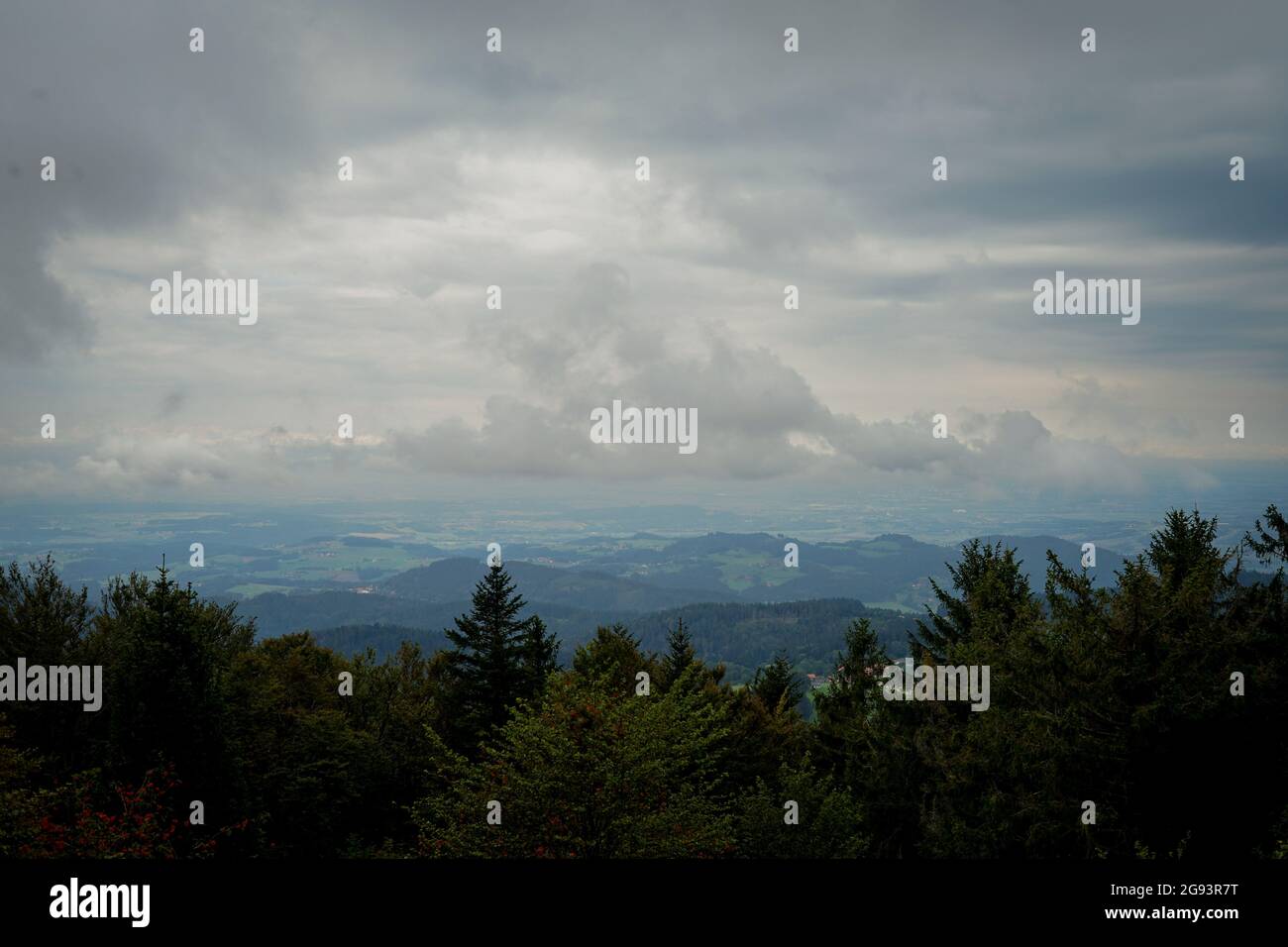 Rural area with hills and conifer woods on a cloudy day Stock Photo - Alamy