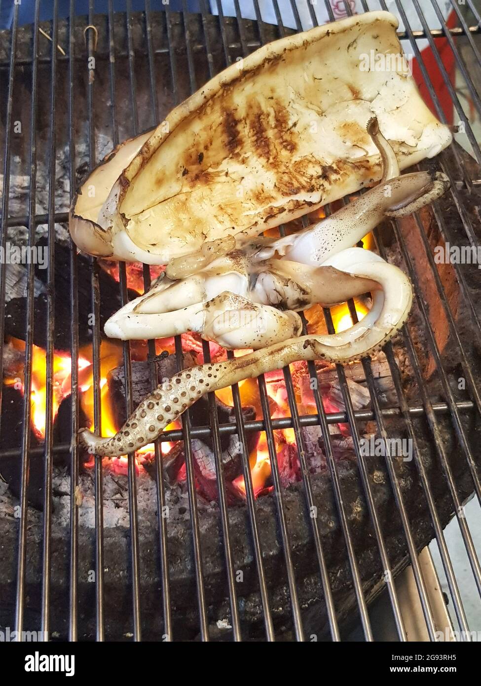 Fresh squid cook by grill on stove that use charcoal background (Street ...