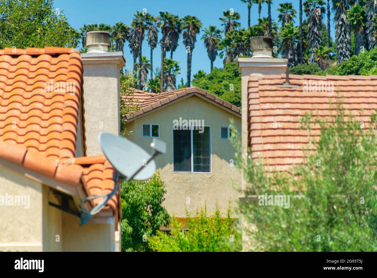 House surrounded by trees Stock Photo - Alamy
