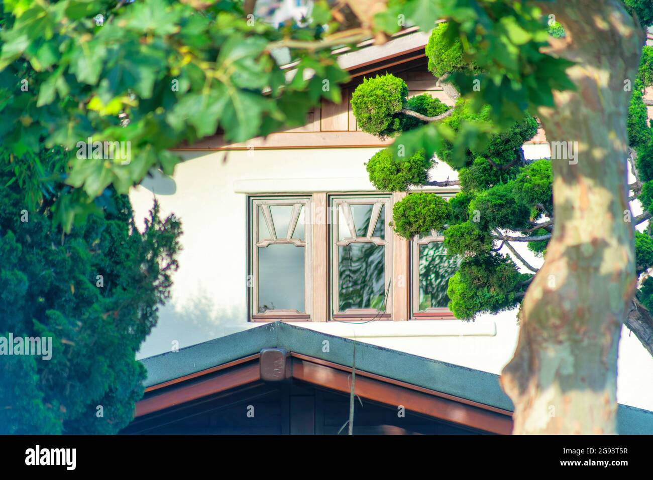 House surrounded by trees Stock Photo - Alamy