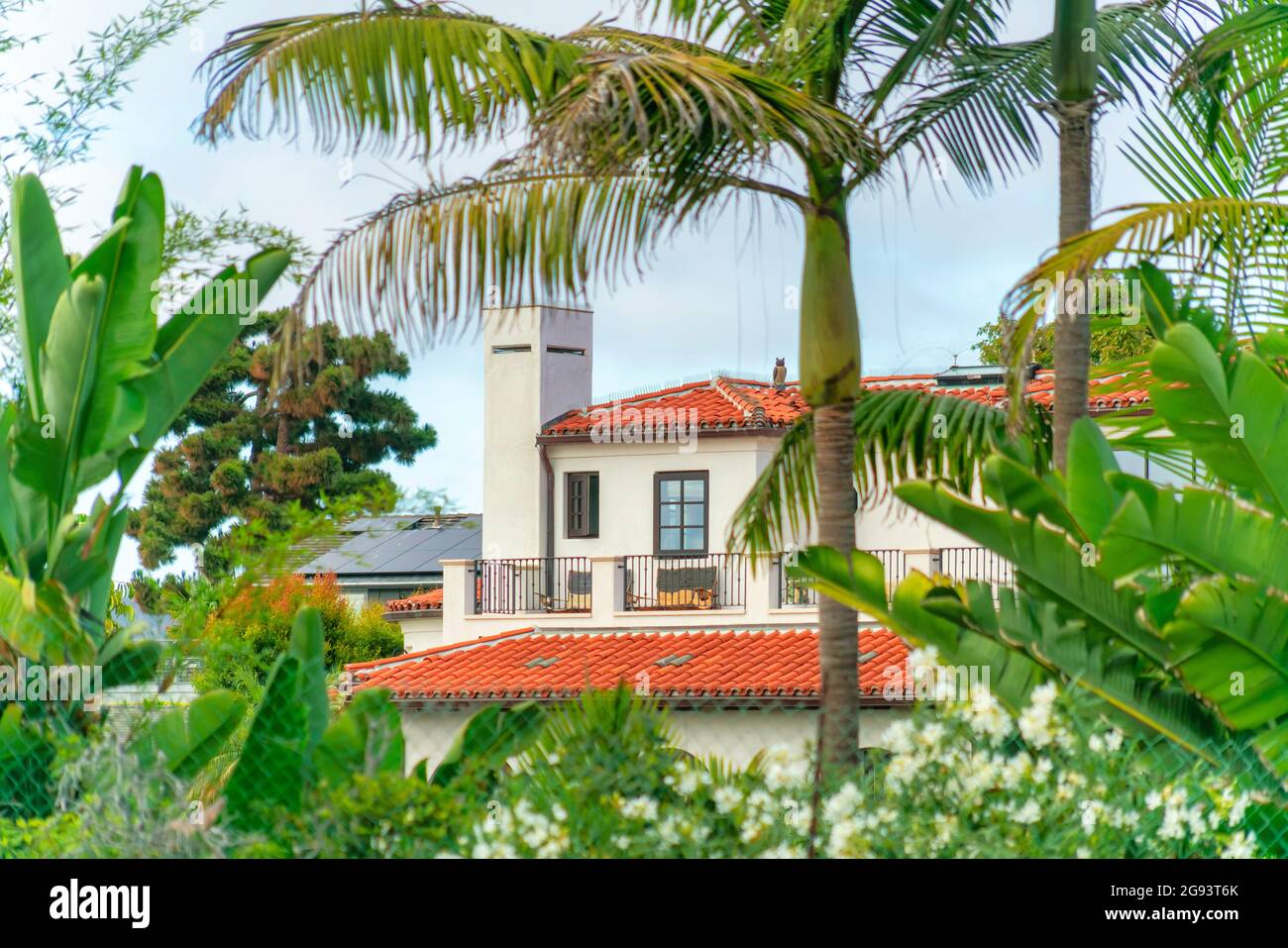 House surrounded by trees Stock Photo - Alamy