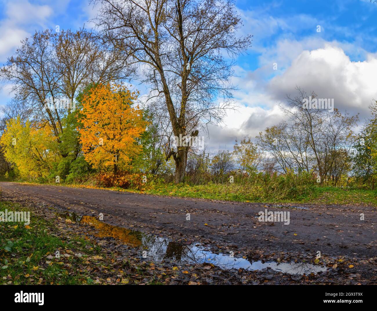 Autumn on the outskirts of St. Petersburg in Ust-Slavyanka, where new high-rise buildings will ...
