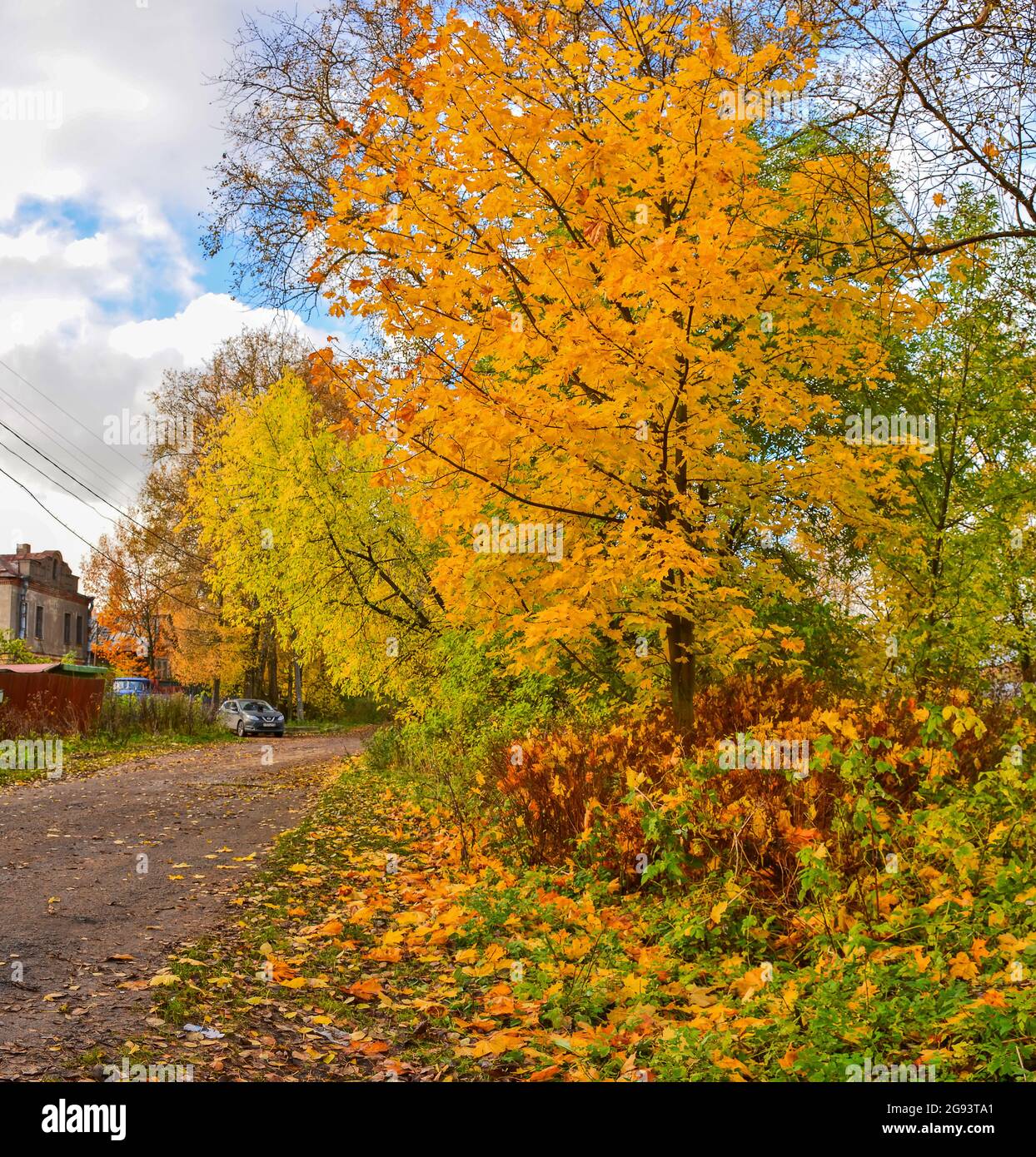 Autumn on the outskirts of St. Petersburg in Ust-Slavyanka, where new high-rise buildings will ...