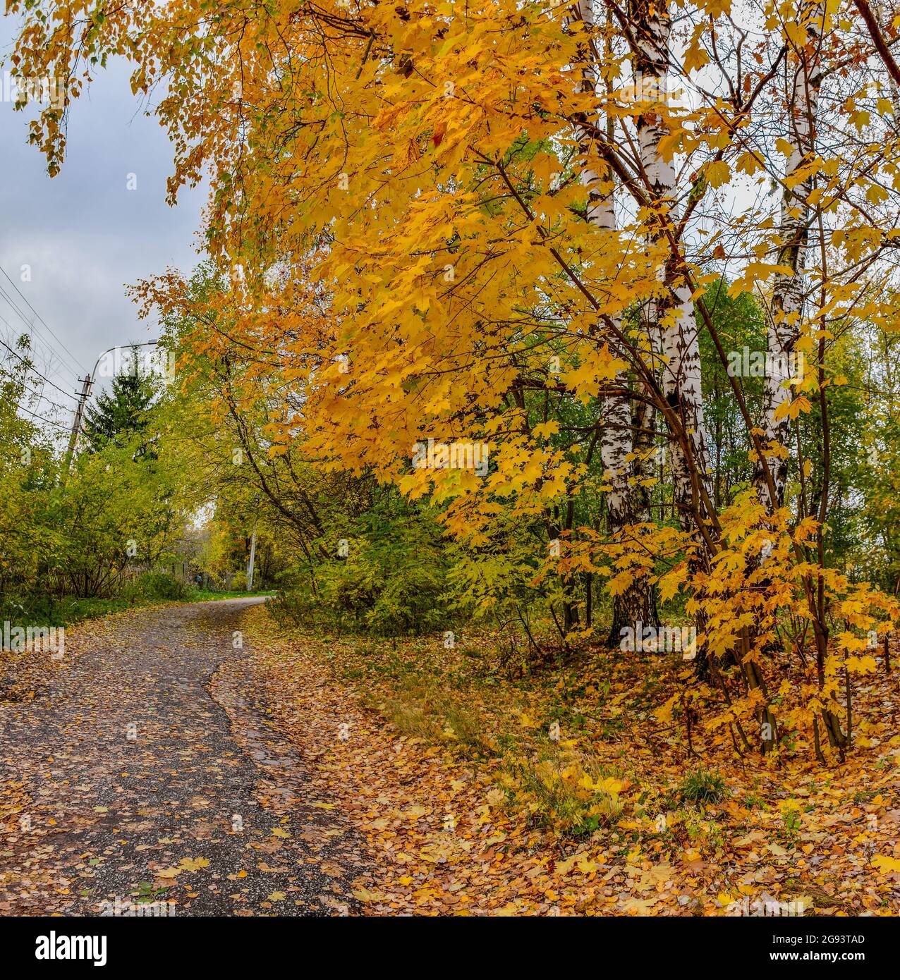 Autumn on the outskirts of St. Petersburg in Ust-Slavyanka, where new high-rise buildings will ...