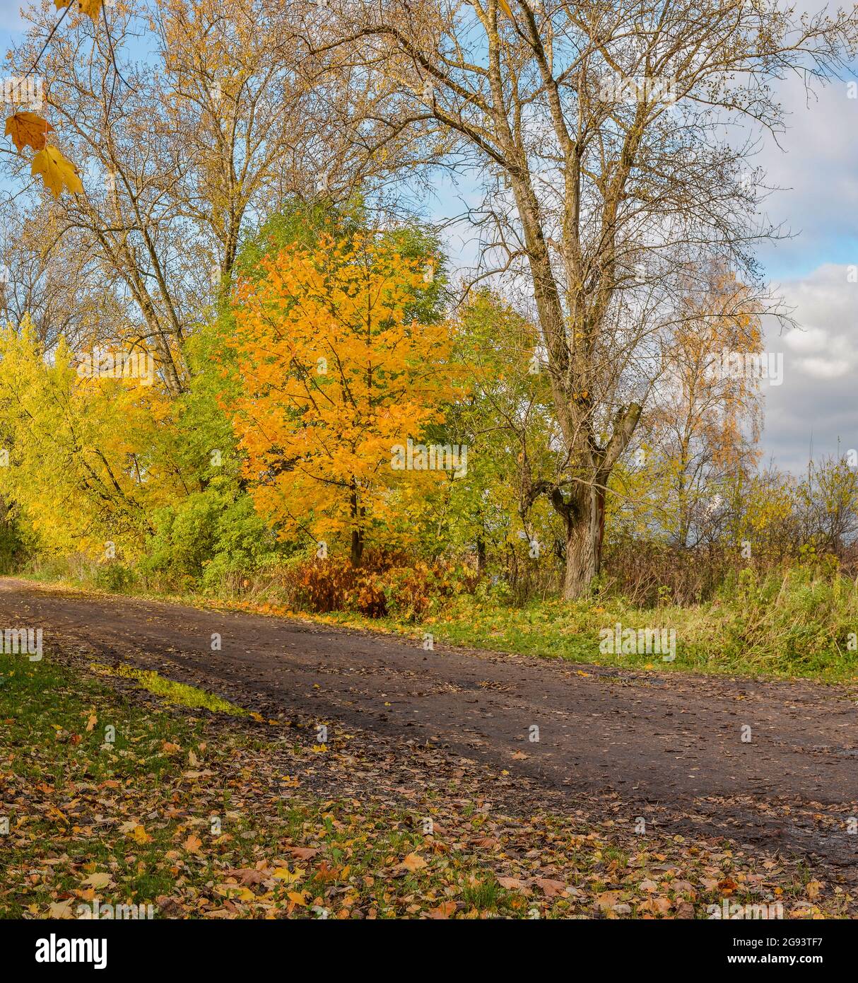 Autumn on the outskirts of St. Petersburg in Ust-Slavyanka, where new high-rise buildings will ...