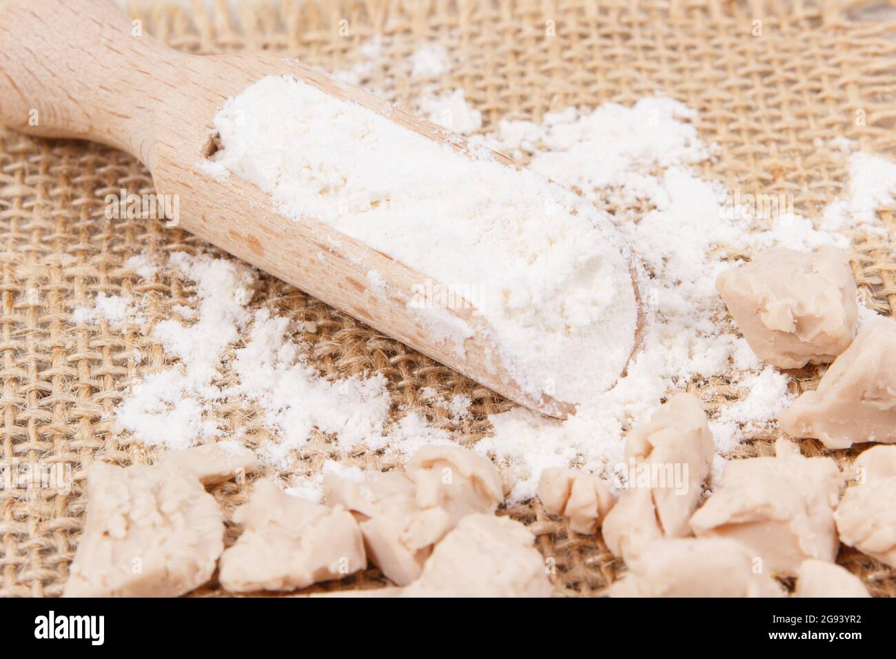 Fresh dry crumbled yeast and flour on wooden scoop for baking or ...