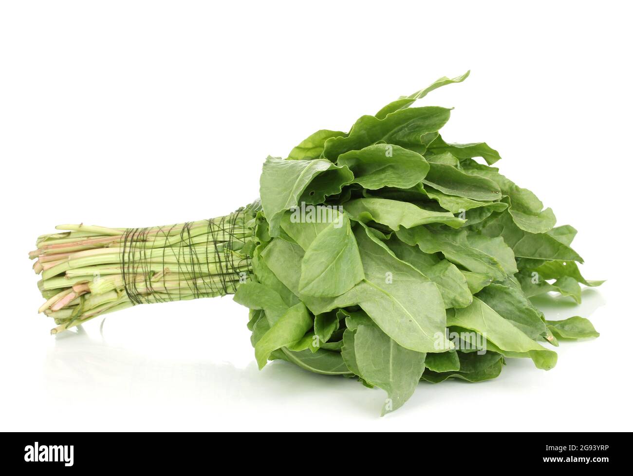 Fresh sorrel isolated on white Stock Photo - Alamy