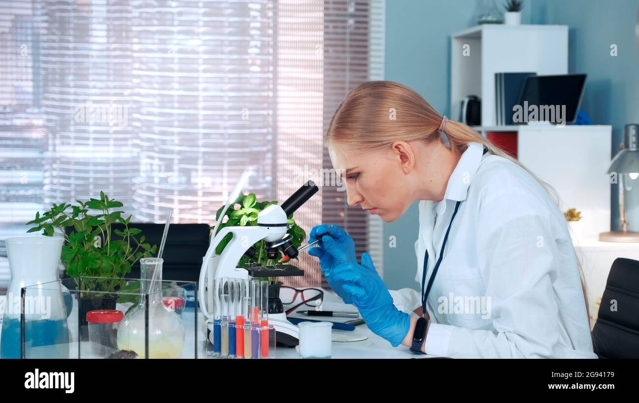 Female research scientist dropping sample on microscope slide and ...