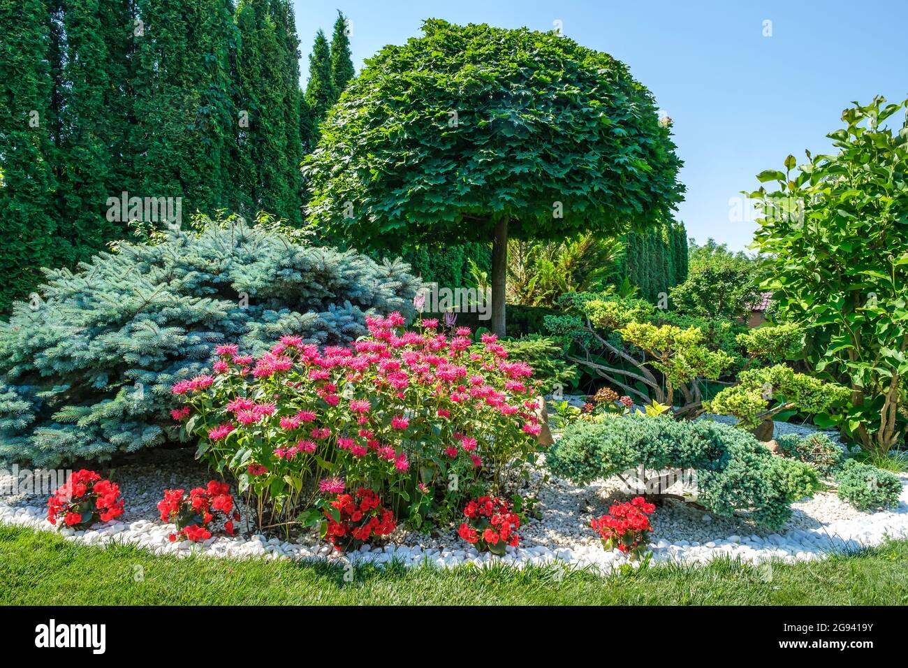 Beautiful backyard garden with nicely trimmed trees, bushes and stones ...