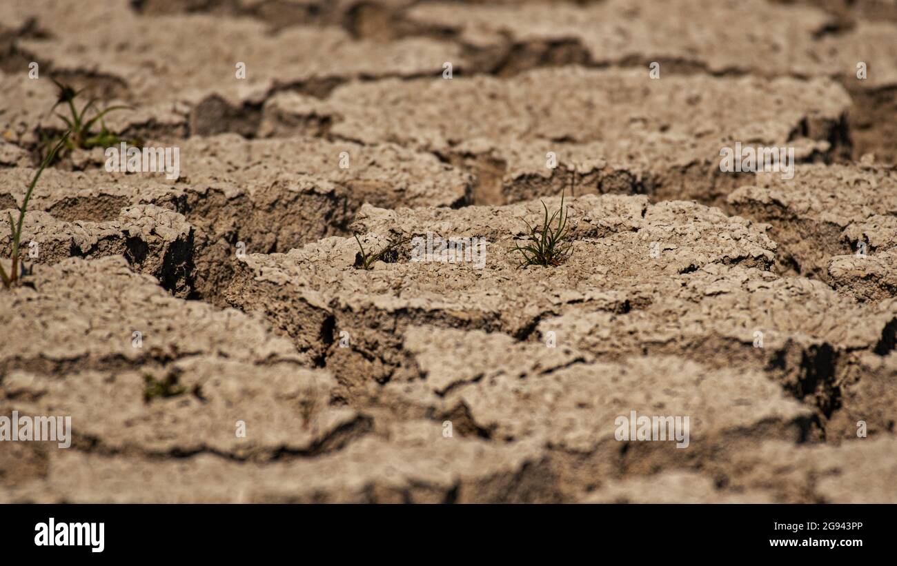 Land with dry cracked ground. Close Up Stock Photo - Alamy