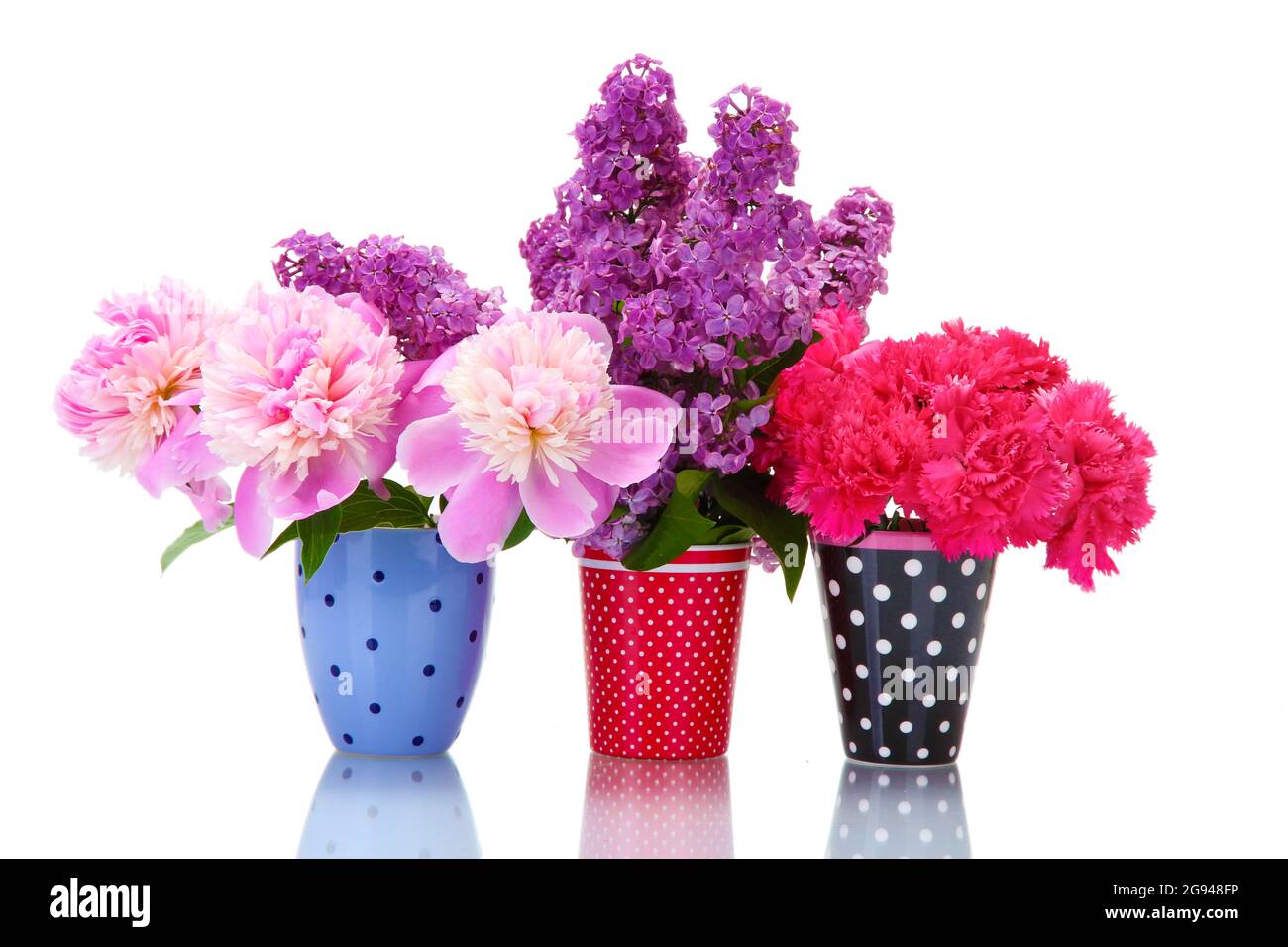beautiful spring flowers in cups isolated on white Stock Photo - Alamy