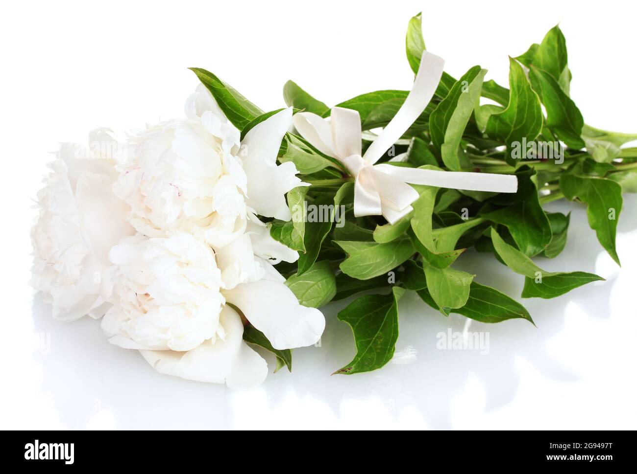 beautiful peonies with bow isolated on white Stock Photo - Alamy