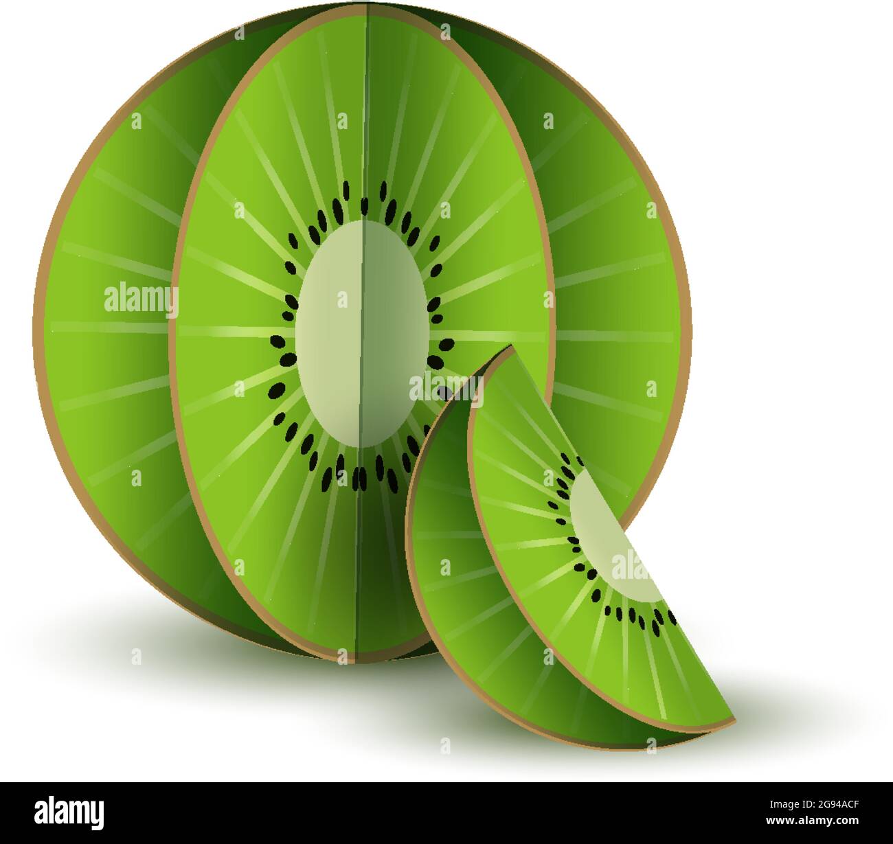 Vector tropical summer exotic fruit paper cut volumetric. Origami ...