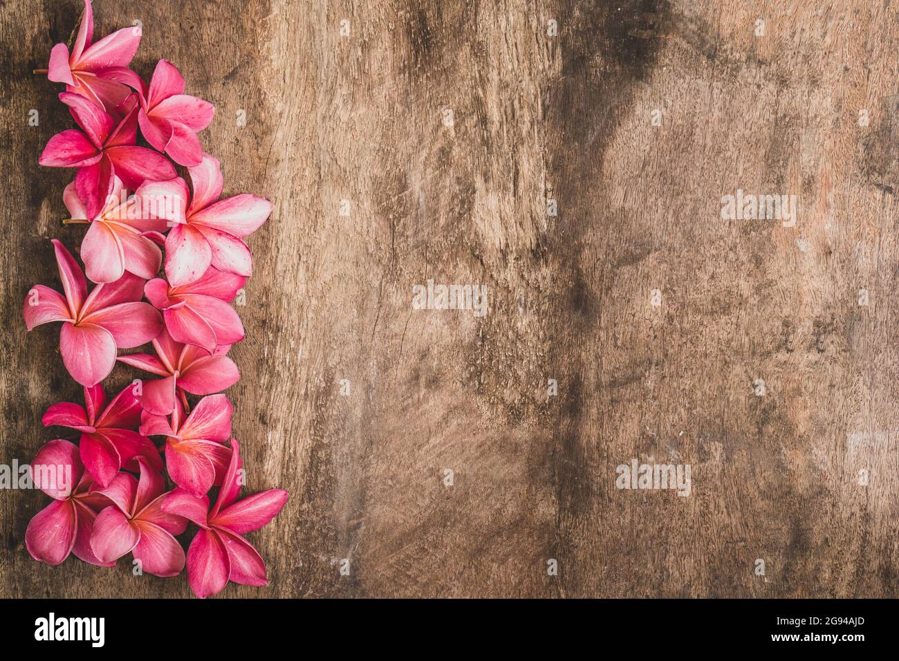 Top view of pink flowers on a left side of a wooden board Stock Photo ...