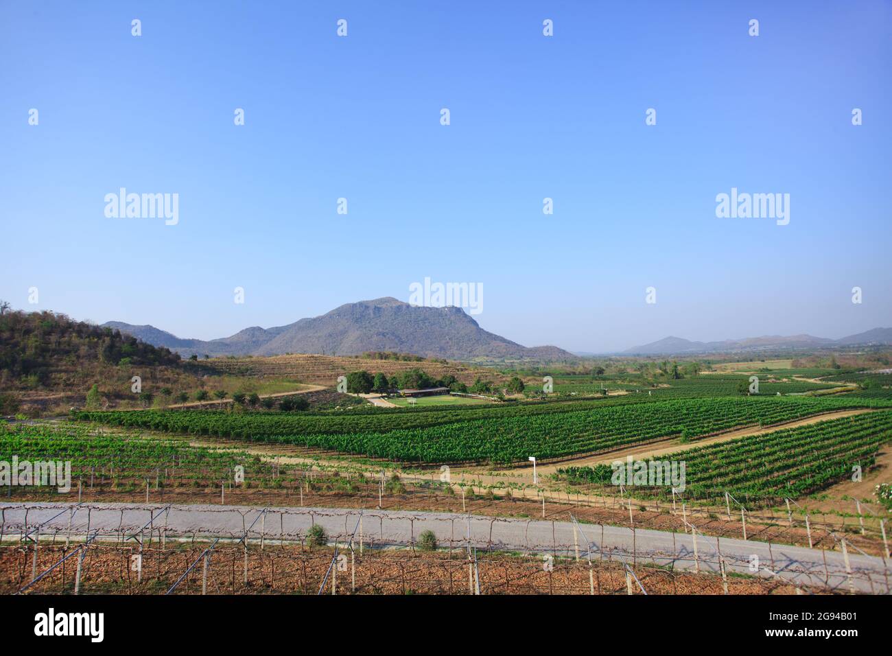 Grape plantation wind farm hi-res stock photography and images - Alamy