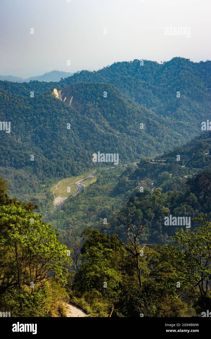 mountain range with dense green forests at morning from flat angle ...