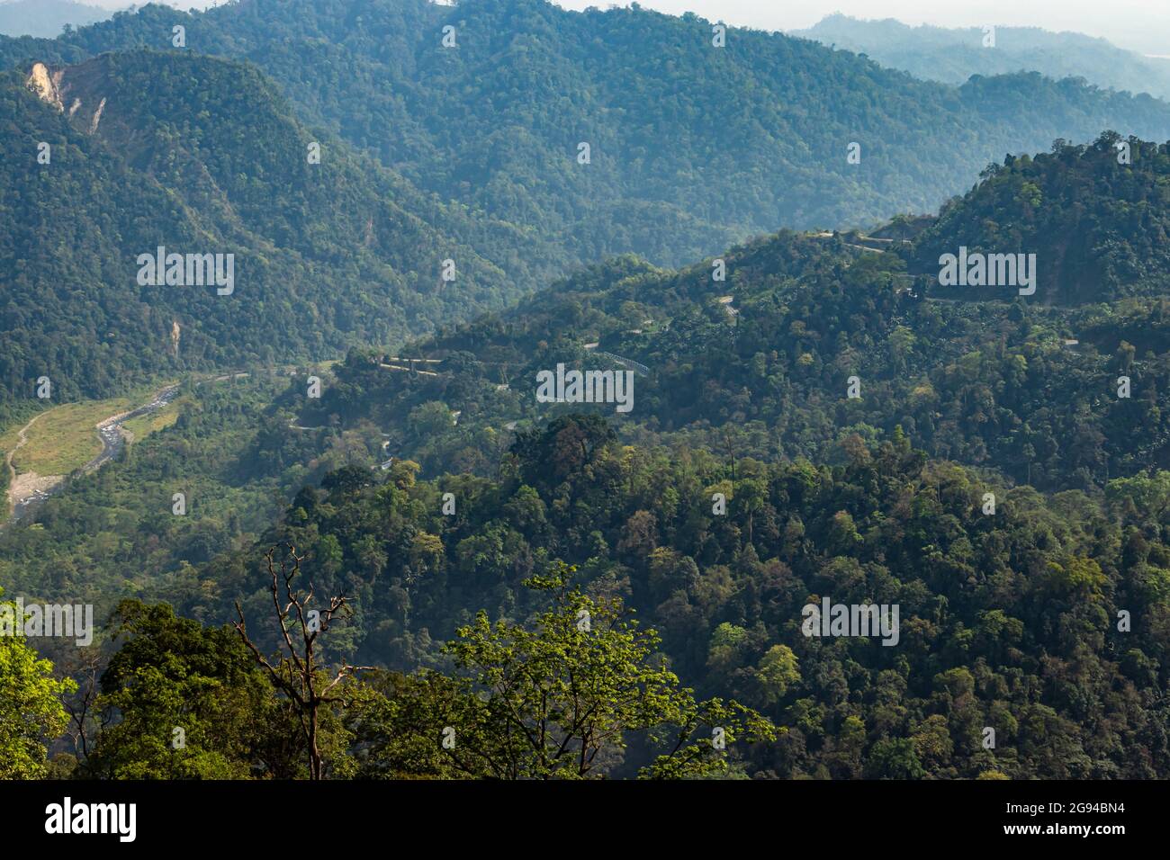 mountain range with dense green forests at morning from flat angle ...