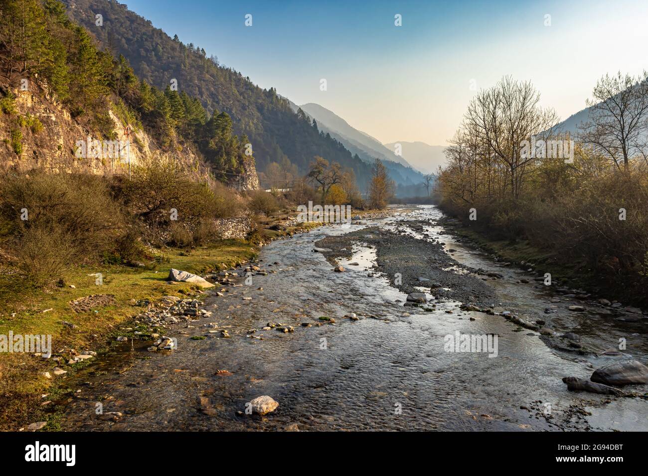 river flowing through misty mountain valley covered with dense forests ...