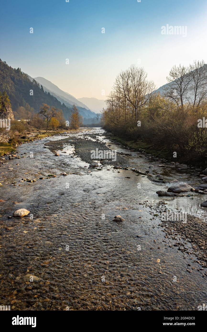 river flowing through misty mountain valley covered with dense forests ...