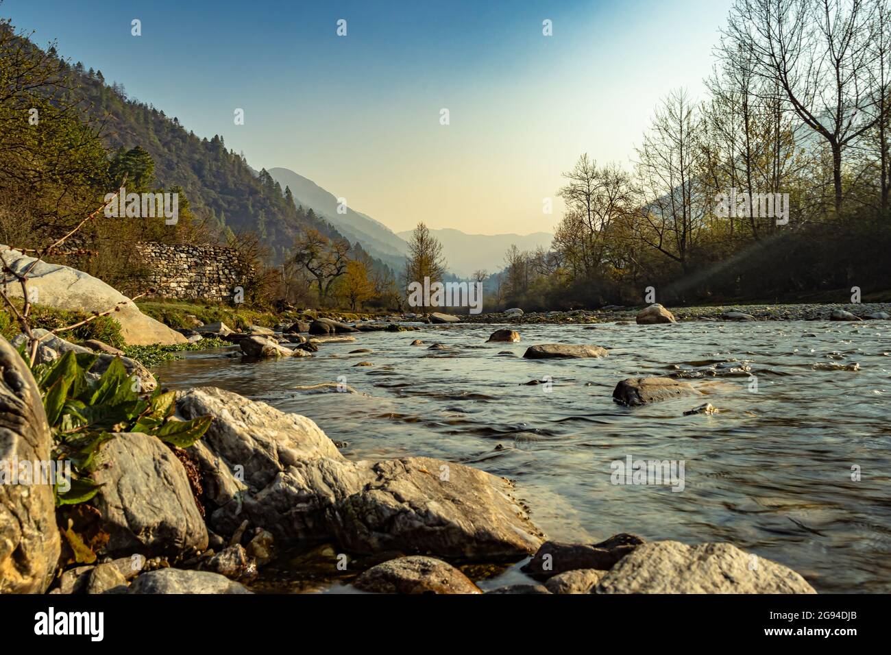 river flowing through misty mountain valley covered with dense forests ...