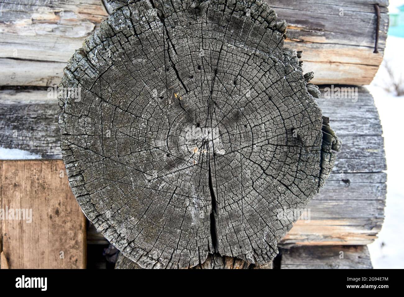 Cracked log hi-res stock photography and images - Alamy