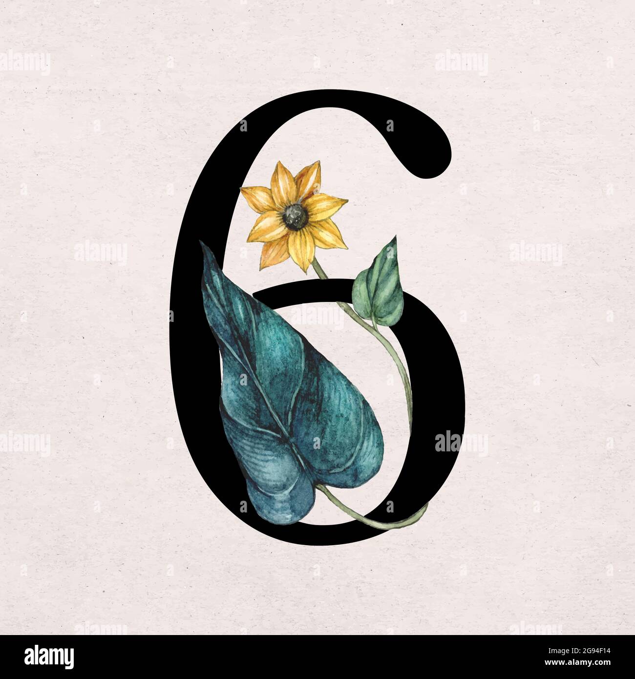 6 Fonts High Resolution Stock Photography and Images - Alamy