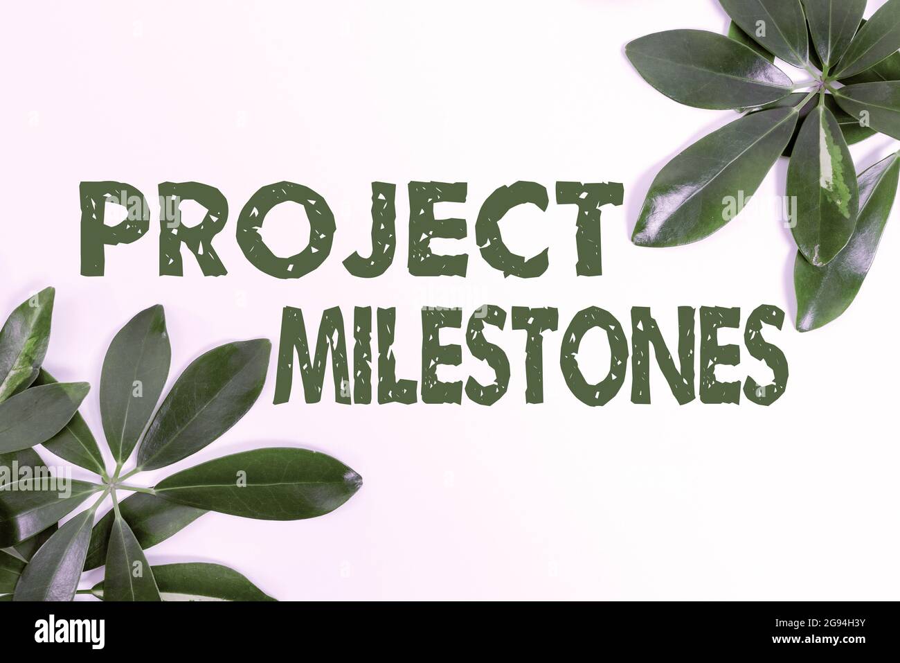 Inspiration showing sign Project Milestones. Business idea duration ...