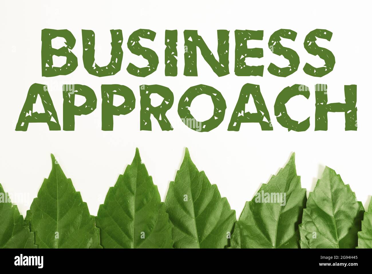 Conceptual caption Business Approach. Business showcase long term plan ...