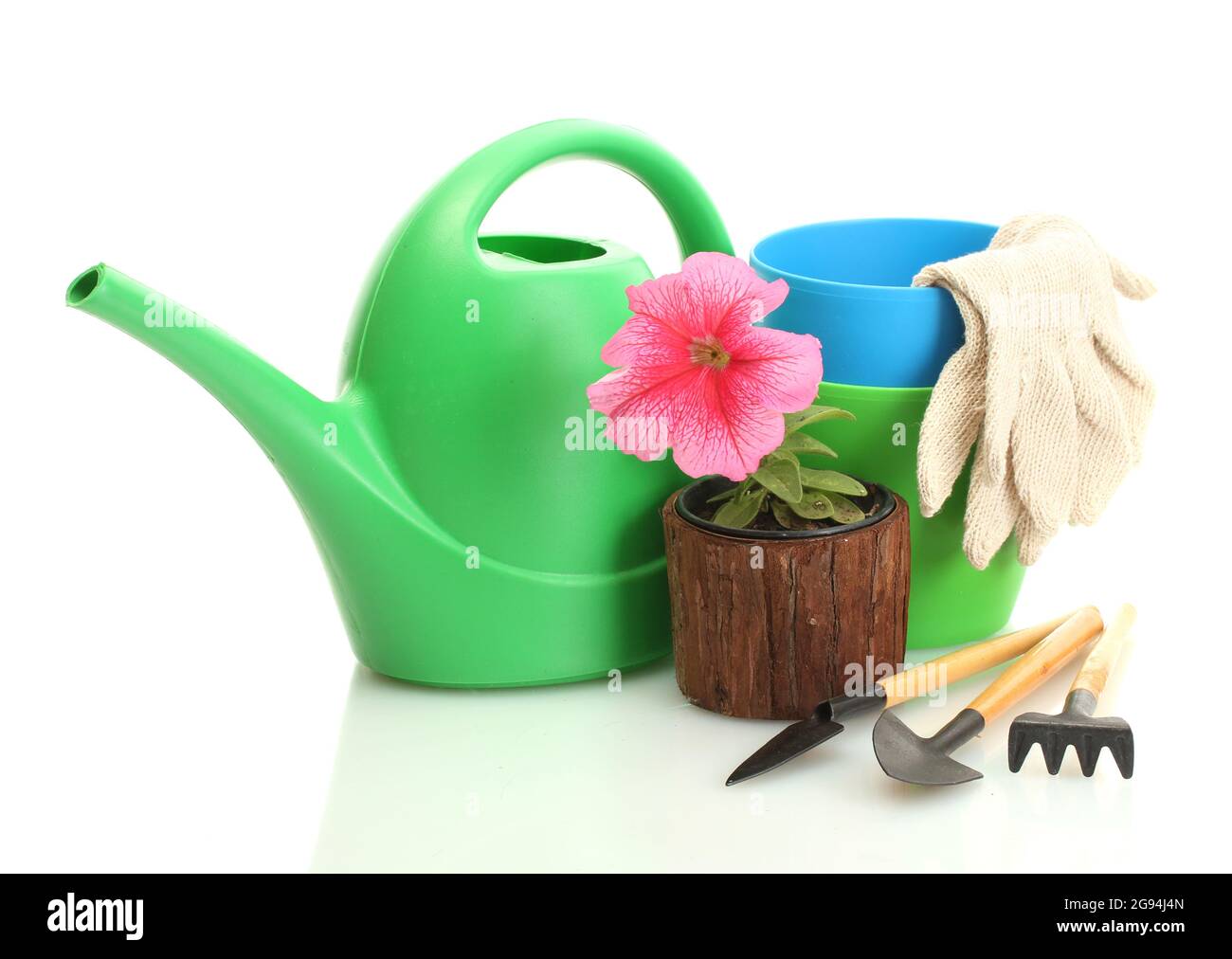 watering can, tools and plant in flowerpot isolated on white Stock ...