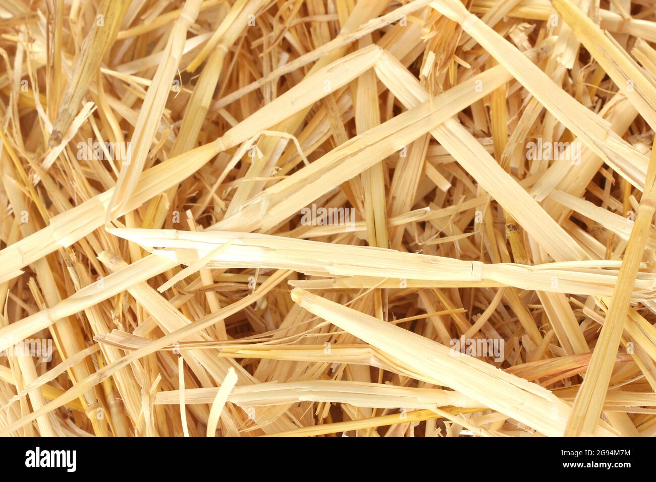 Golden straw texture background close-up Stock Photo - Alamy