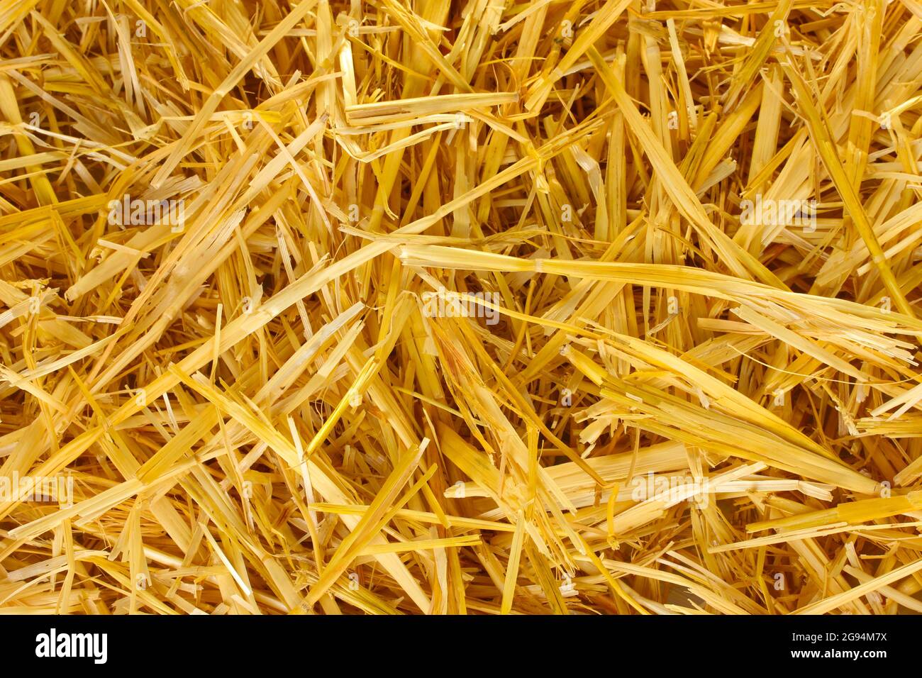 Straw Wisp High Resolution Stock Photography and Images - Alamy