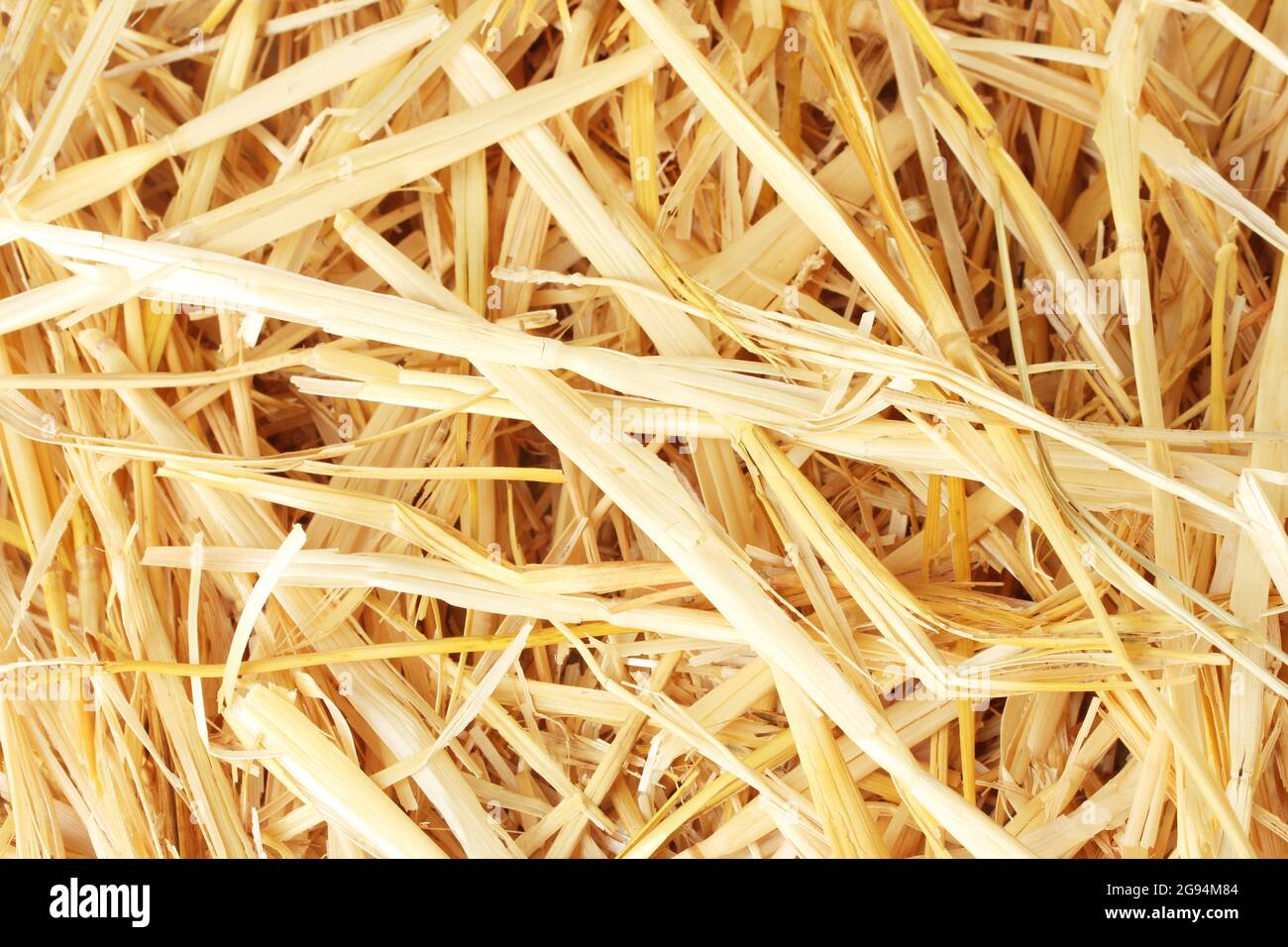 Golden straw texture background close-up Stock Photo - Alamy