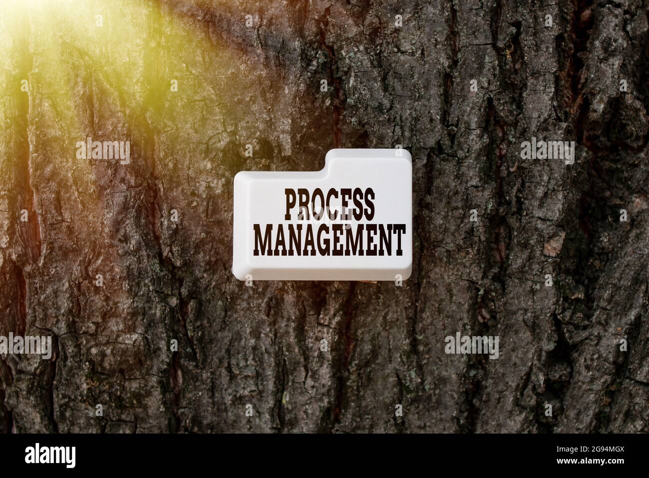 Writing displaying text Process Management. Concept meaning aligning ...