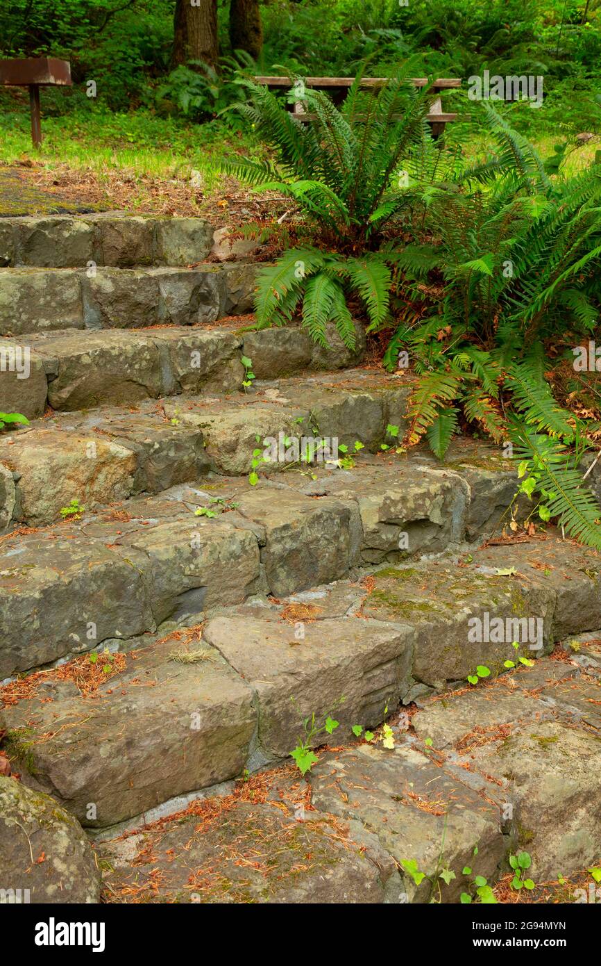 Eagle Creek Campground stairs, Columbia River Gorge National Scenic ...