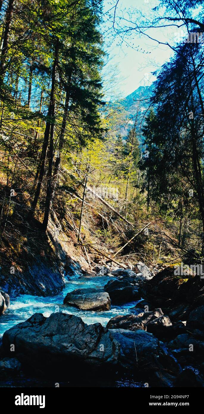 A river flows over rocks in this beautiful scene in the Alps mountains ...