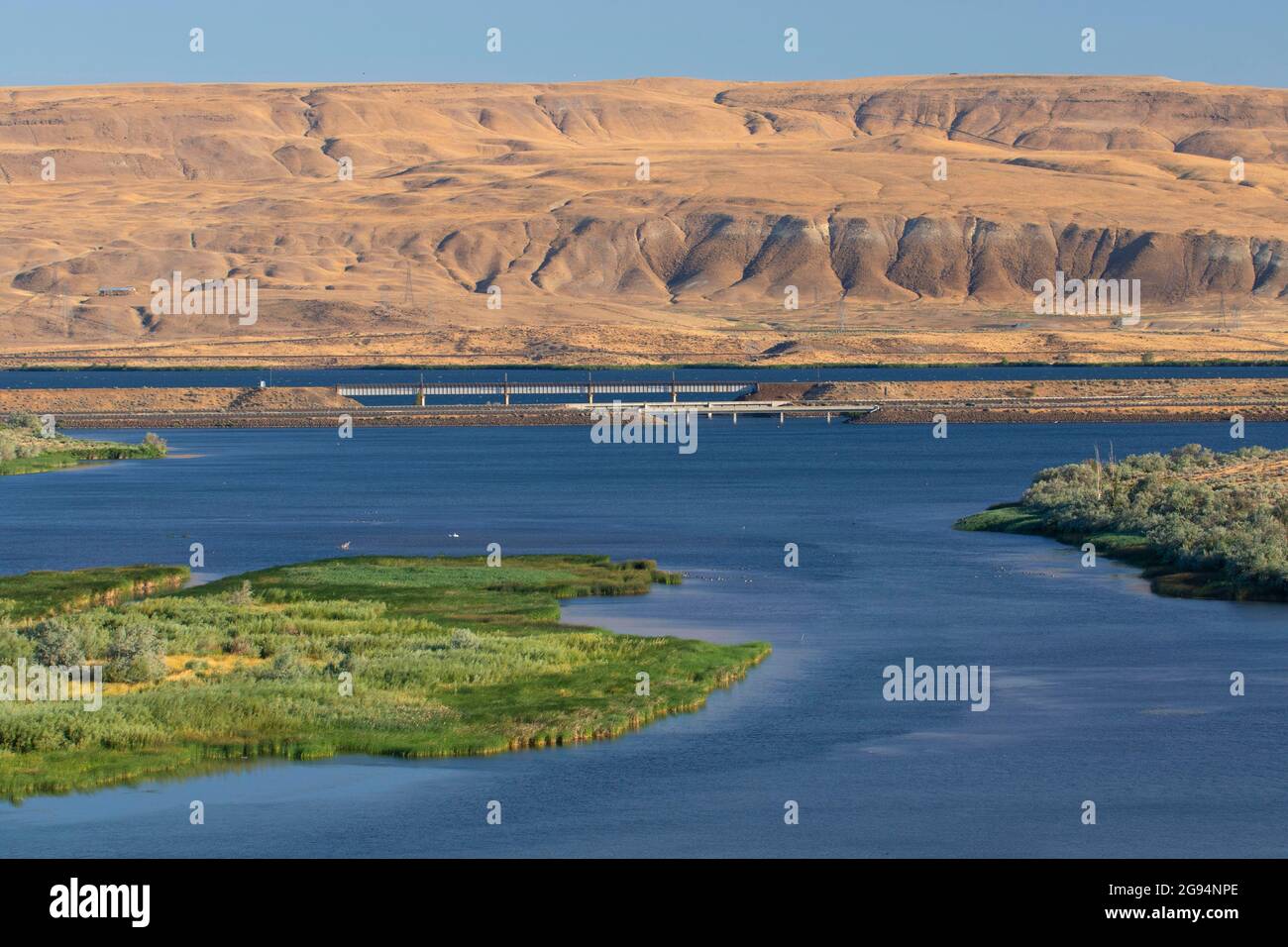 Willow lake creek wildlife hi-res stock photography and images - Alamy