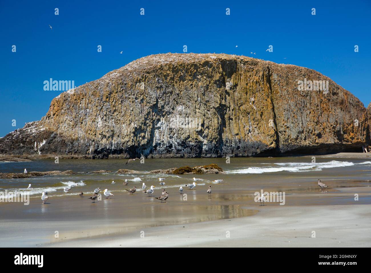 Elephant Rock, Seal Rock State Park, Oregon Stock Photo - Alamy