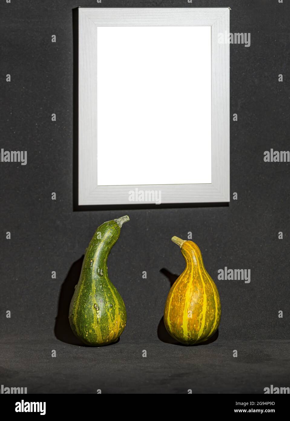 Small pumpkins with art frame in the background Stock Photo - Alamy