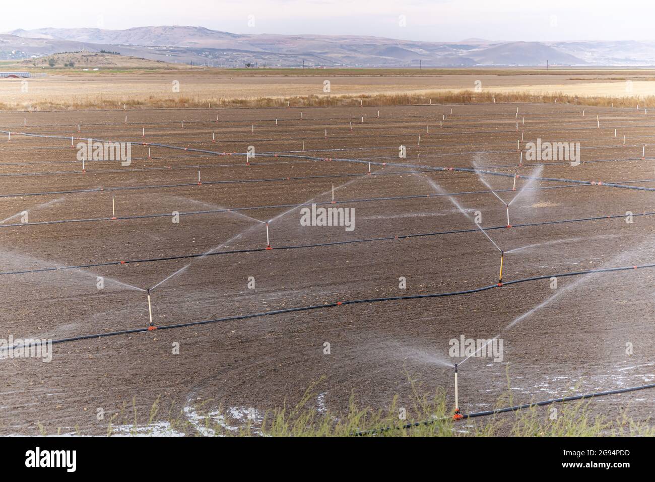Agricultural smart irrigation technology in the field Stock Photo - Alamy