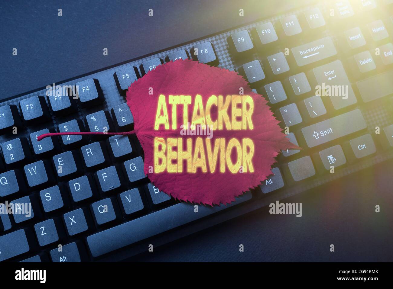 Conceptual Display Attacker Behavior Conceptual Photo Analyze And Predict The Attacker Behavior