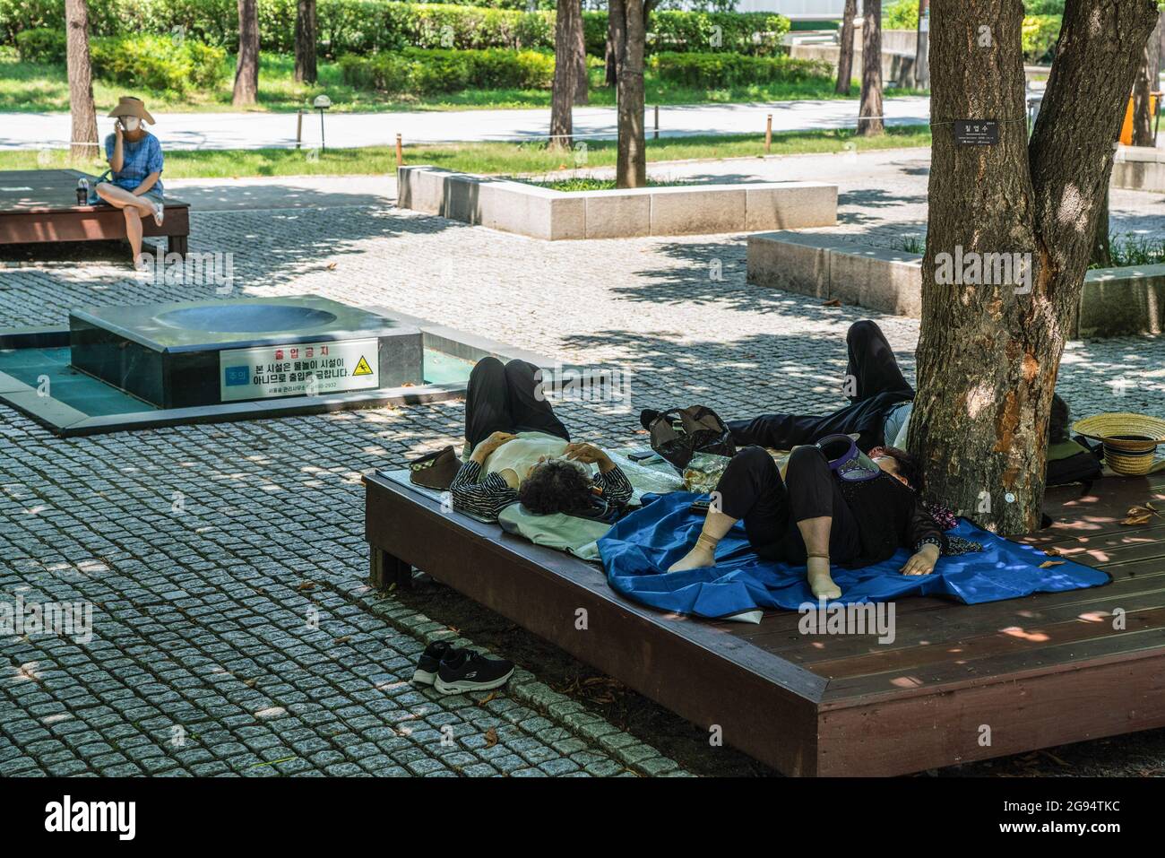 People relax under the shade of trees in Seoul as a heatwave blankets ...